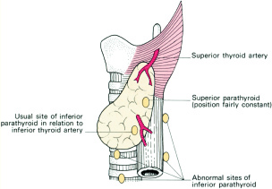 Lecture Notes: General Surgery